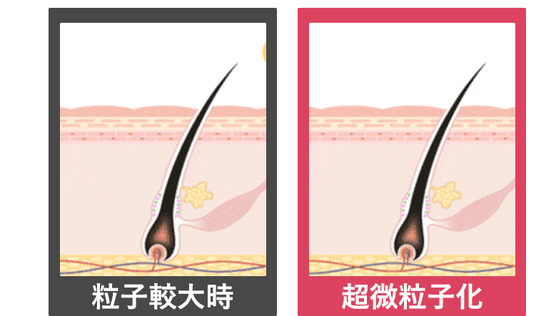 【日本FUSARI 馥絲麗 盈潤養髮精華 】全台最低價，現貨免運 | 綠蟲藻生長因子・醫師認證6週有感